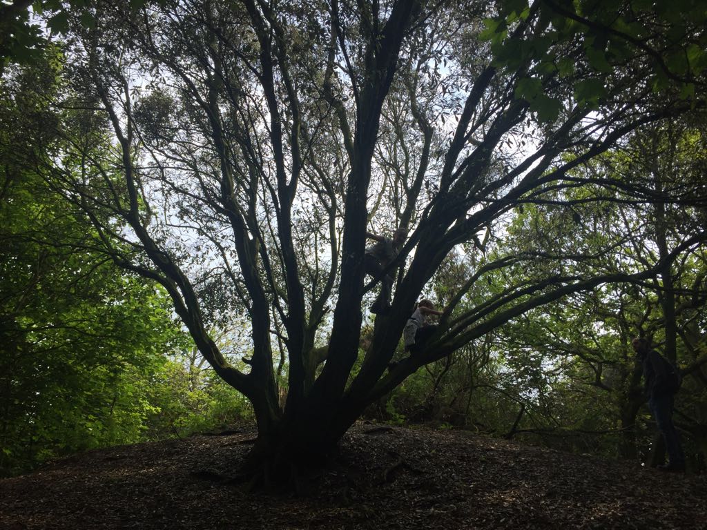 Publications | Malcolm Groves